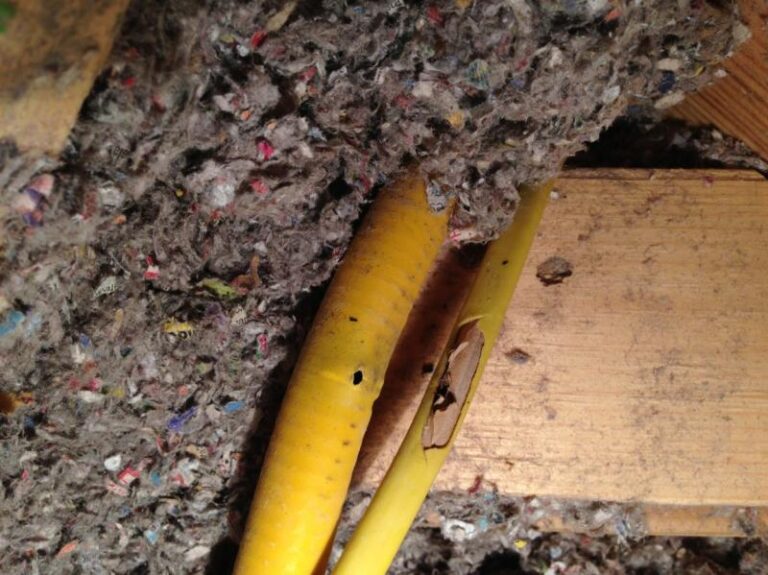 About CSST Gas Line Requirements. | Summerville's Blue Palmetto Home ...
