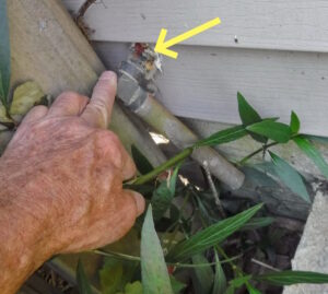Those Problem Pipes | Summerville's Blue Palmetto Home Inspection